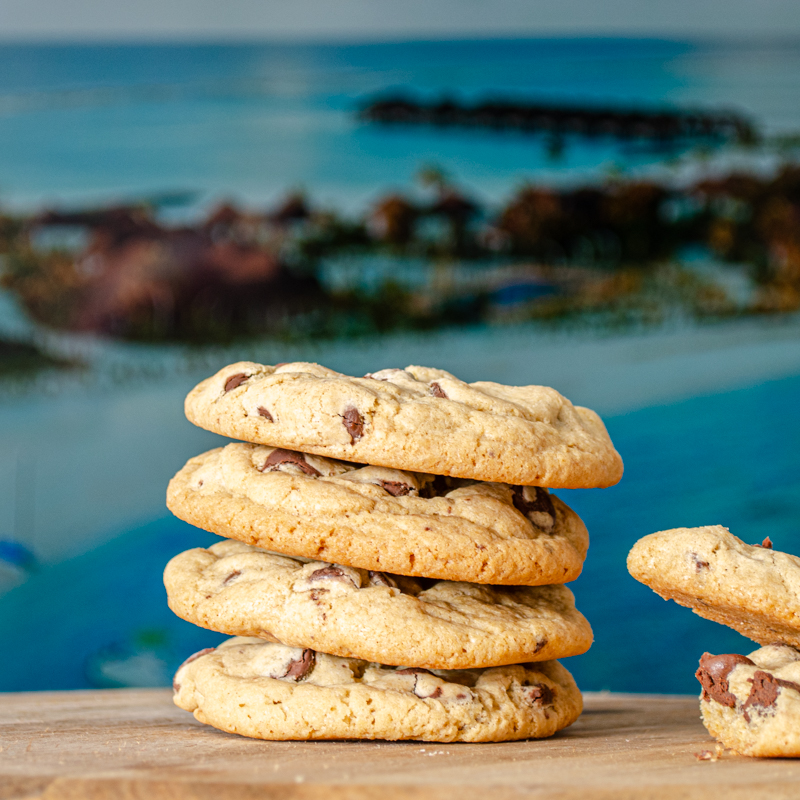 Chocolate Chip Cookies – Plates By Perrin